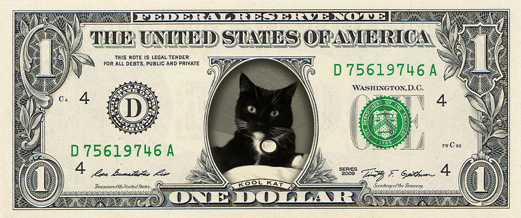 Custom Dollar Bills: Your Face On A REAL Dollar Bill