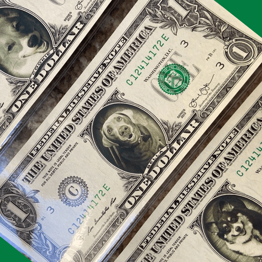 Custom Dollar Bills: Your Face On A REAL Dollar Bill